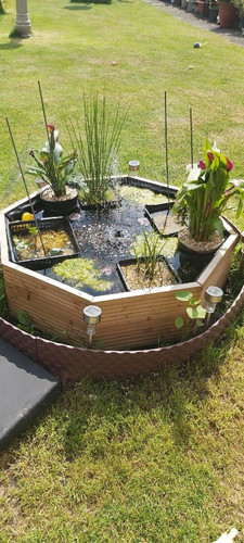 Simple & Stylish Octagonal Low Level Pond 88x88x27h cm | Dad's Crafts