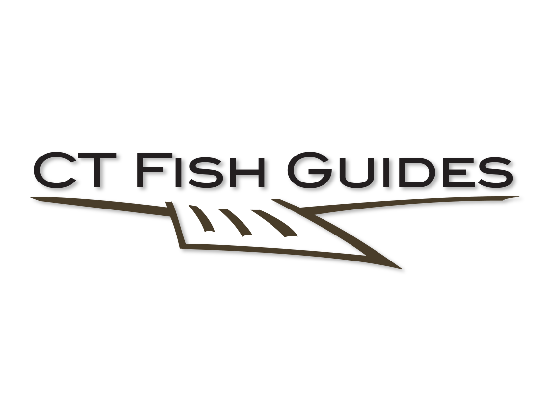 Virtual Learning | CT Fish Guides