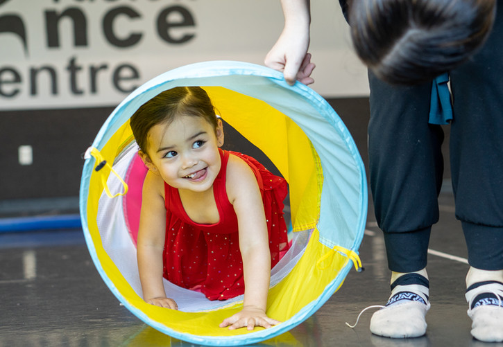 Ages 2-5 | FDCDANCE