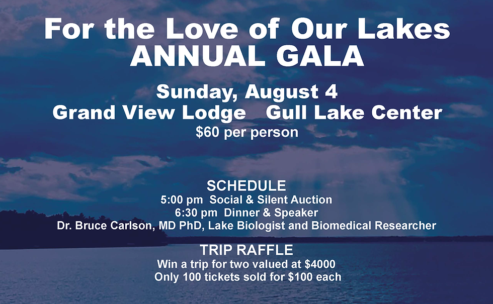 Gull Chain of Lakes Association - Protecting Natural Beauty