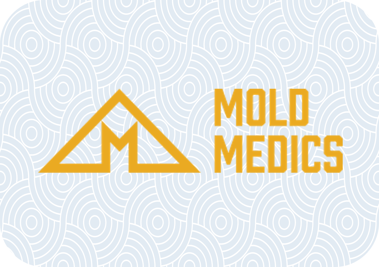 Find a Mold Medics Franchise