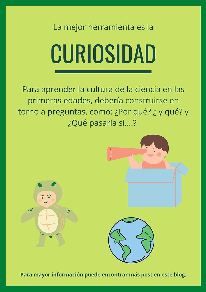 CURIOSIDAD