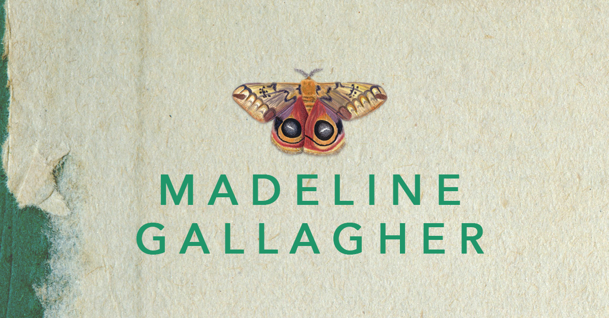 Copywriter | Madeline Gallagher