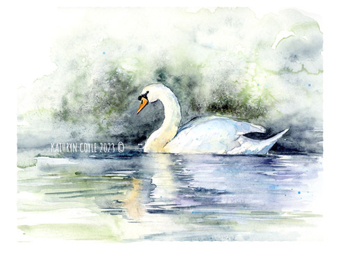 Swan watercolour Tutorial | Little Red Boots