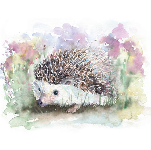 Hedgehog Watercolour | Little Red Boots