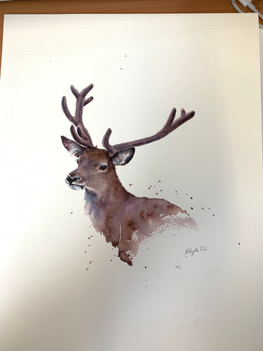 Watercolour Stag | Little Red Boots