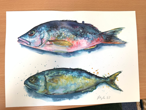 Fish Watercolour inks | Little Red Boots