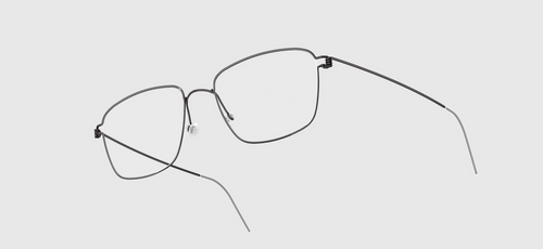 Lindberg-Rim Nicholas-PU9 Brille | Götte Optik