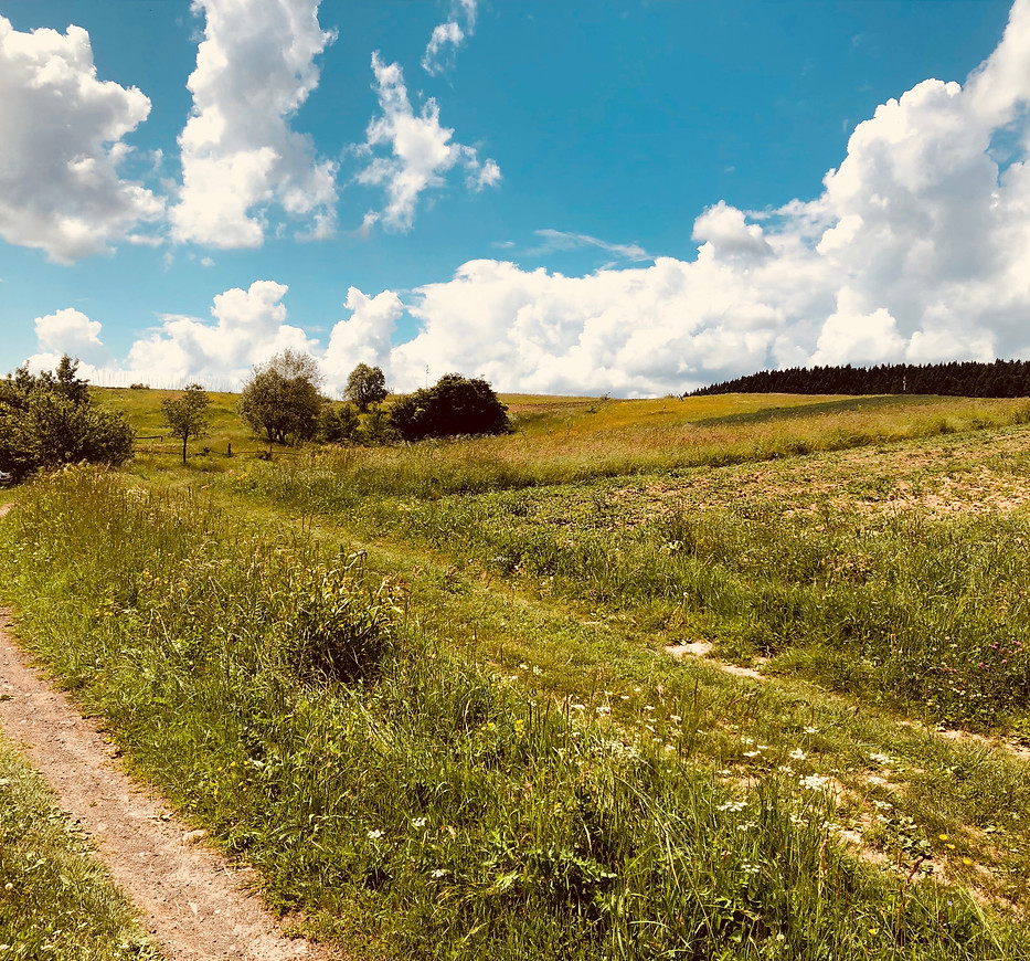 Megan Buskey, writer