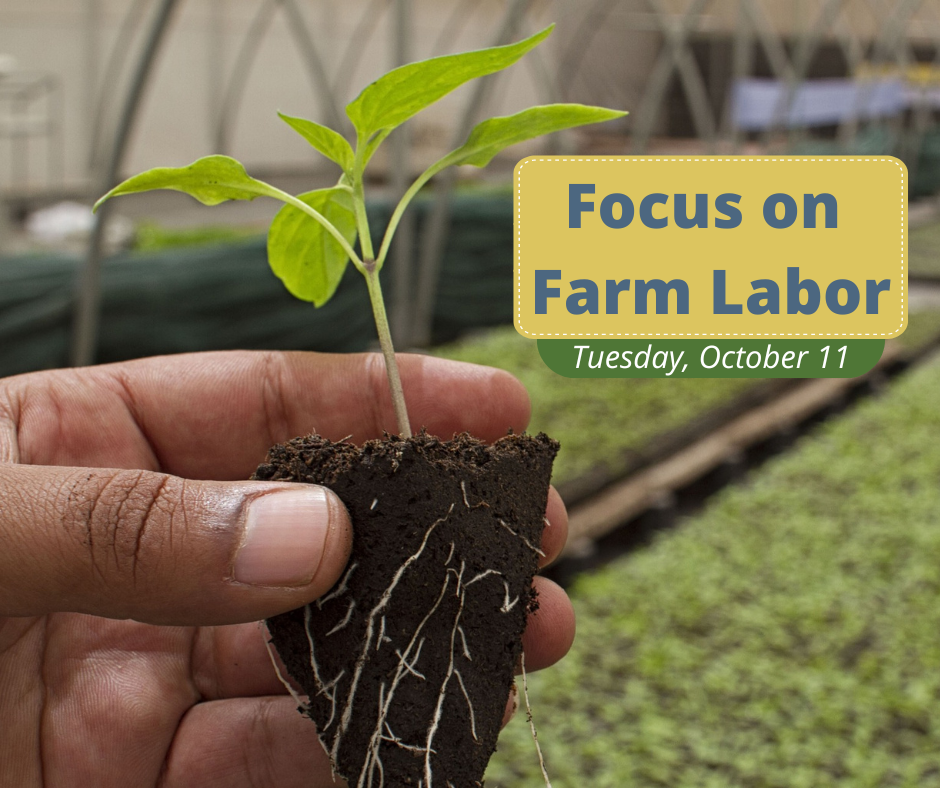 Focus on Farm Labor | CSA-IN