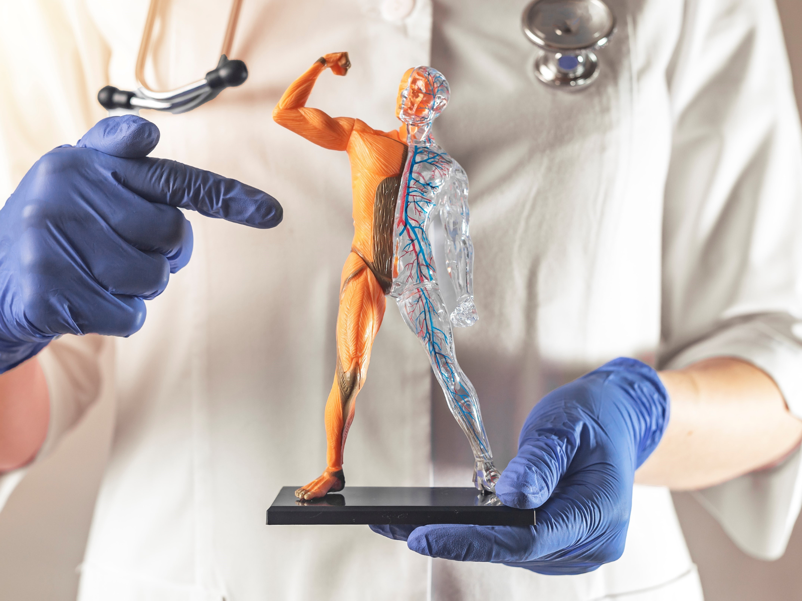 Empowering Health: Vascular Disease Awareness Month and Your Well-Being