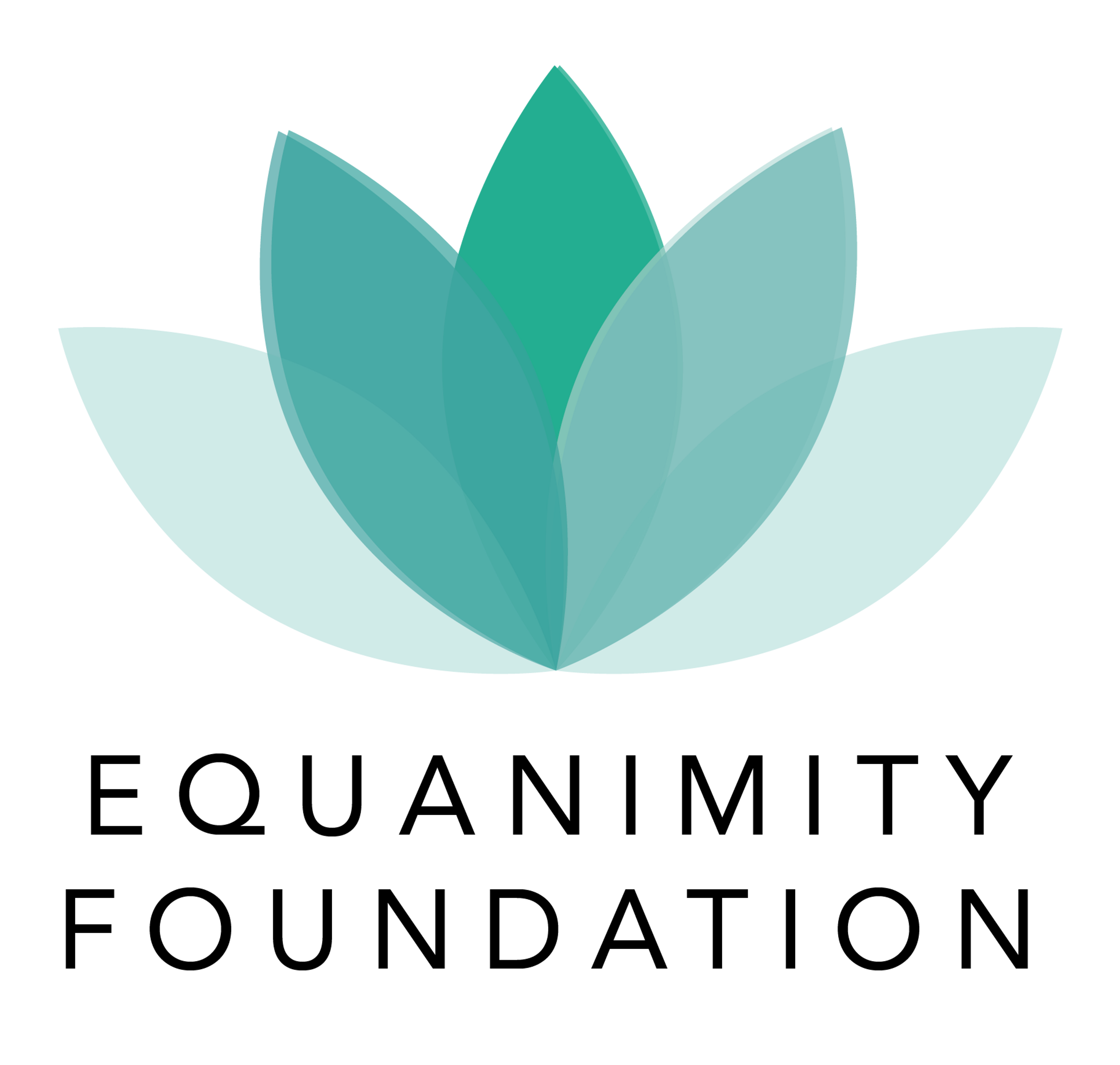 Equanimity Foundation