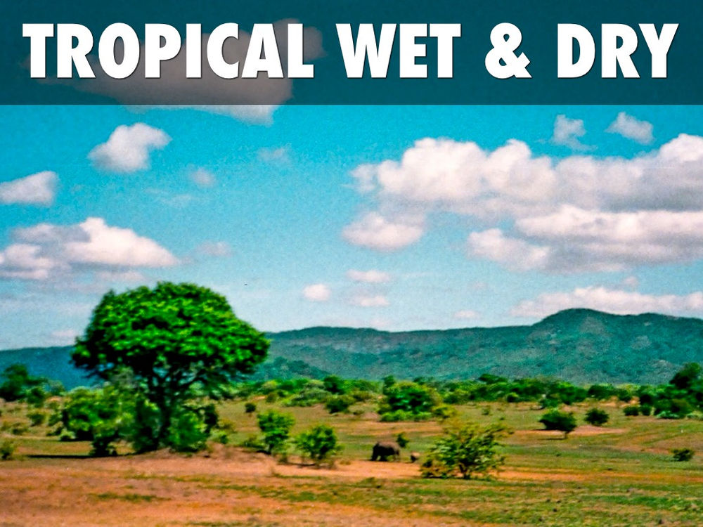 Tropical Wet-and-Dry Climate