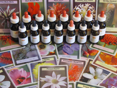 Australian Bush Flower Essence Reading & Remedy | Inner Wellspring