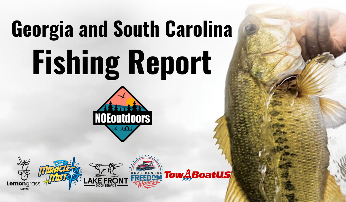 Lake Fishing Reports | Reports For GA & SC