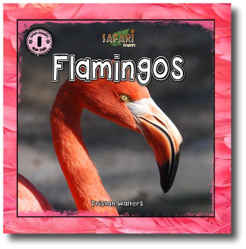 Flamingo Book for Kids | Safari Readers