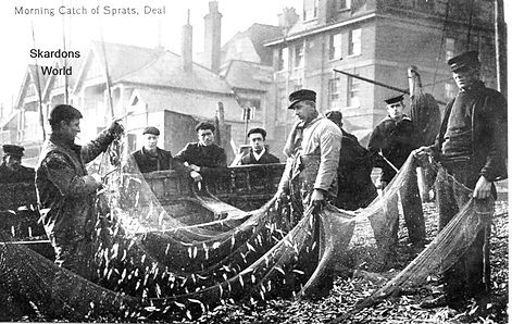 Deal Kent History Pictures of the past on skardons-world