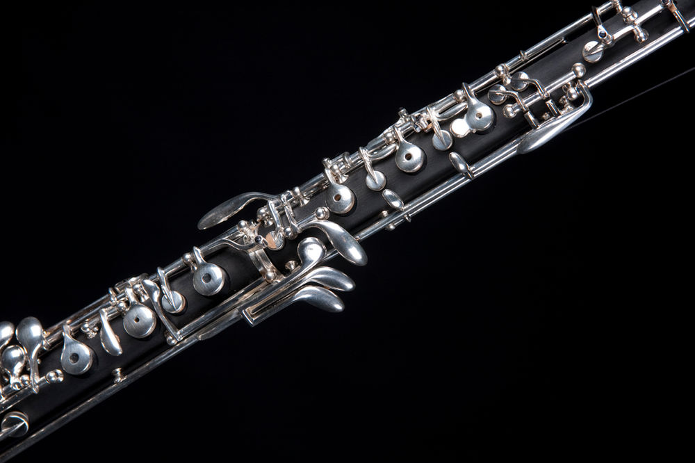 Meet the Oboe!!!