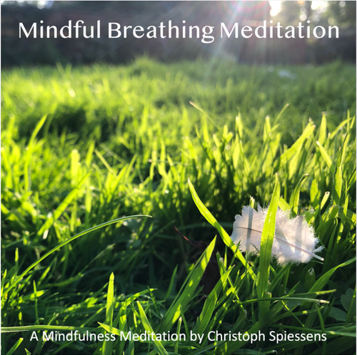 Mindful Breathing Meditation | Christoph Spiessens