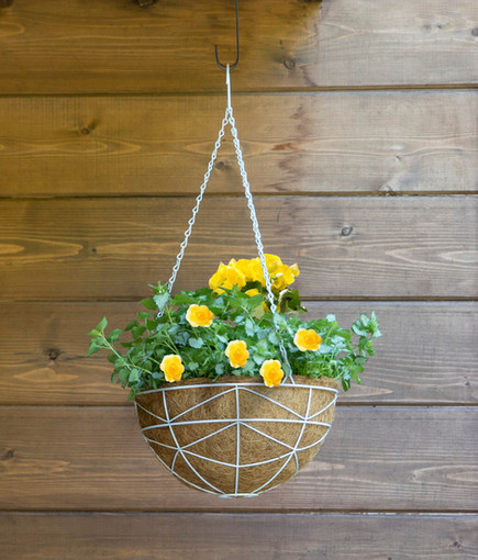 HOME | Panacea Products