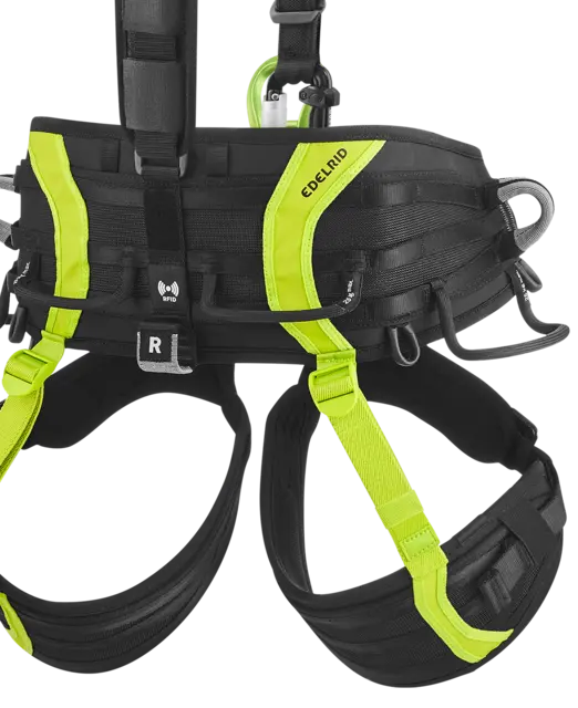 EDELRID Vector Y Full Body Harness | Elevate GCC