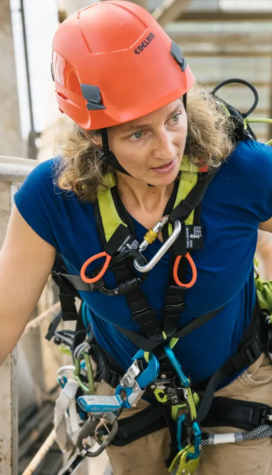 EDELRID Vector X Full Body Harness | Elevate GCC