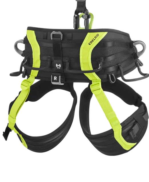 EDELRID Vector X Full Body Harness | Elevate GCC