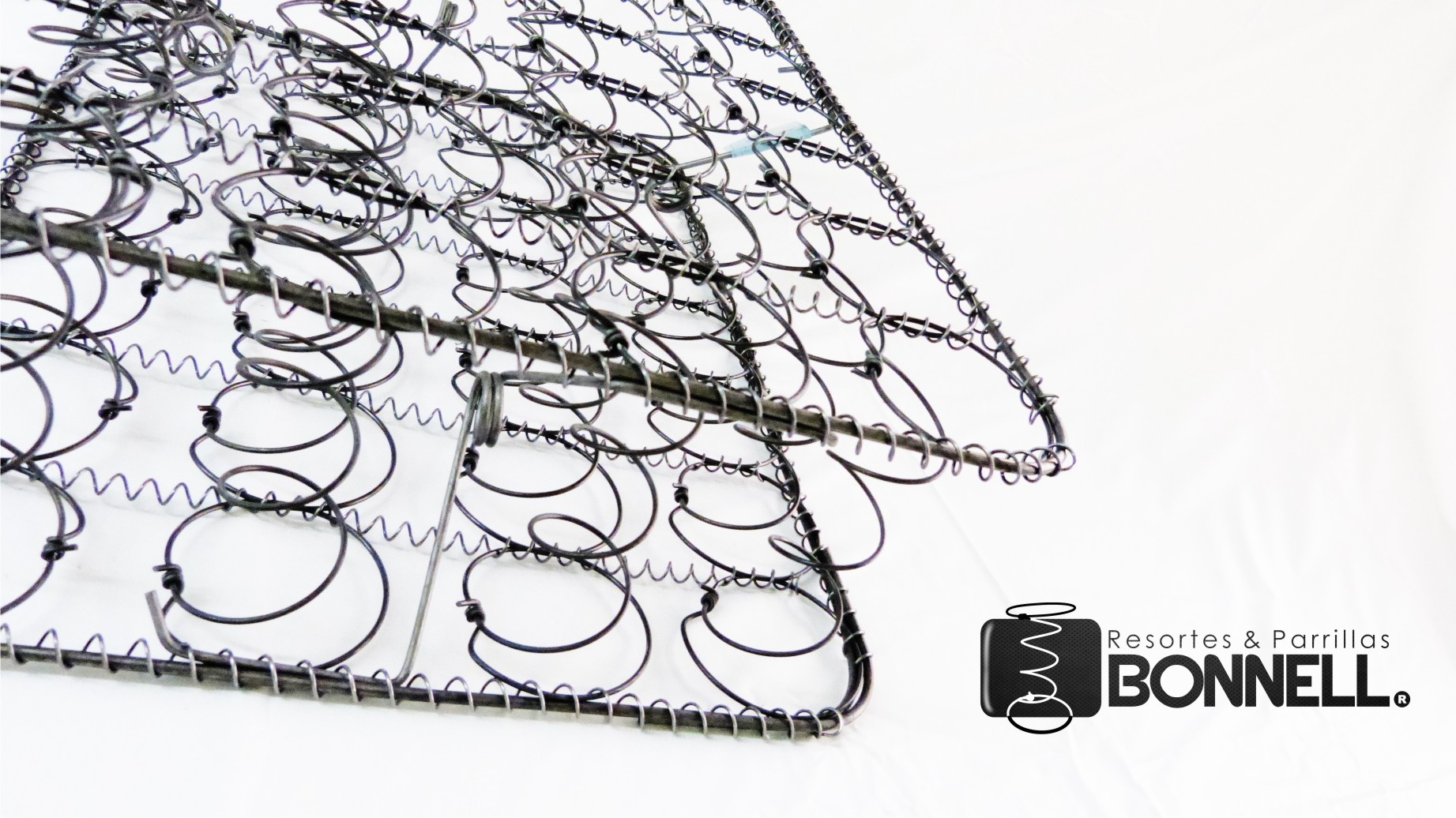 Galería | rpbonnell