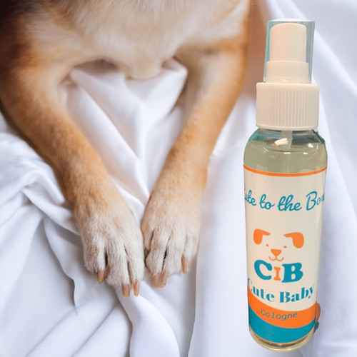 Cute Baby dog Cologne | Dog Grooming