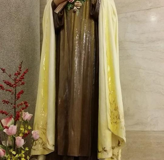 Saint Cards - All Designs | designjane