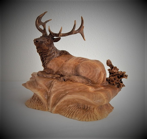 "Bedded Elk" | woodenwildlifeart