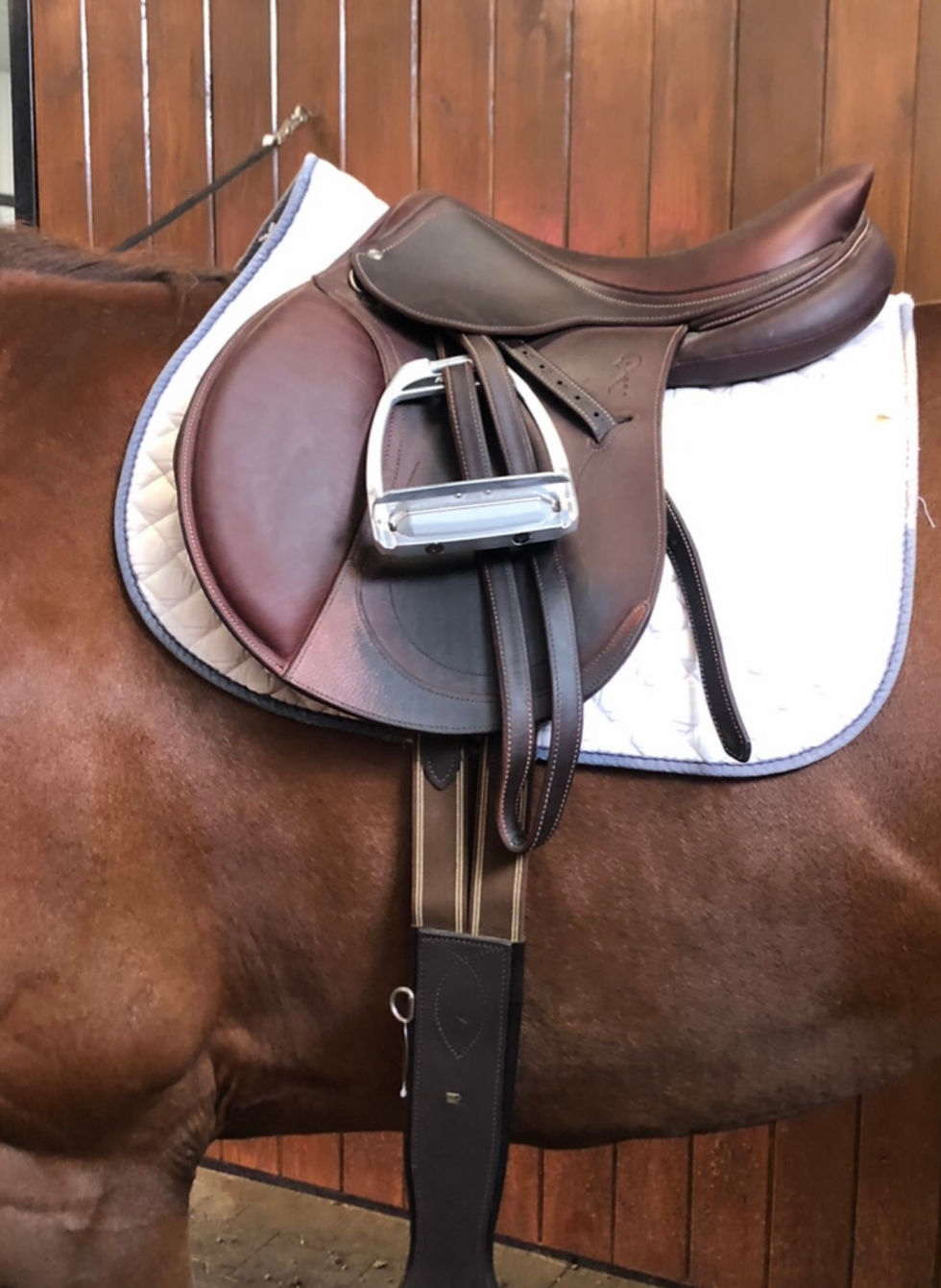 Saddle Fitting 101