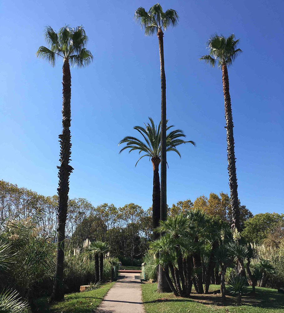 Exflora Park near Antibes