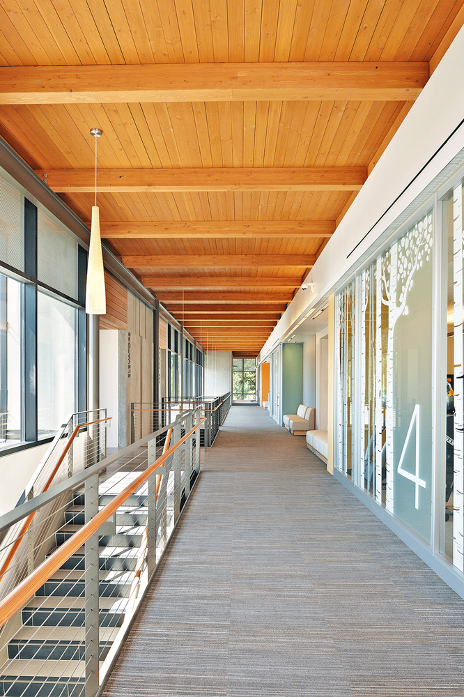 How does natural light promote patient healing in healthcare spaces?