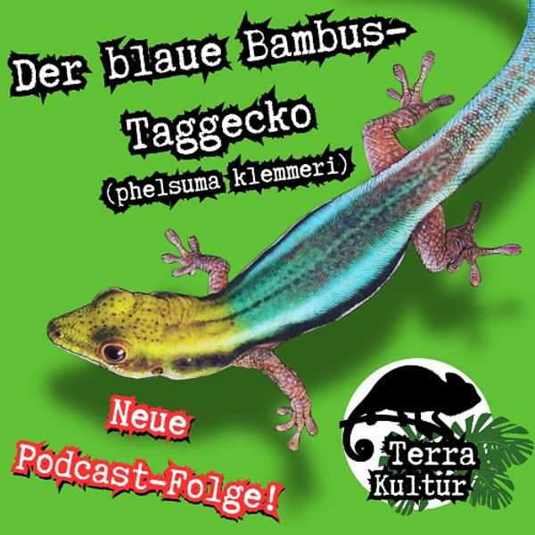 Der blaue Bambustaggecko (Phelsuma klemmeri) - Podcastfolge mit Tim Eßer