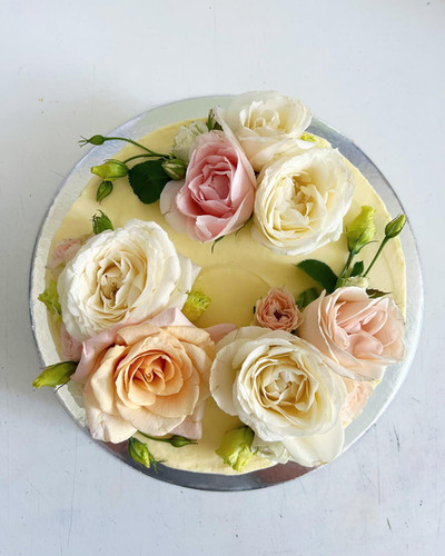 MEDIUM CAKE | Tomboy