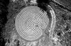 A holistic approach to wellbeing | Field of Healing | Cambridgeshire