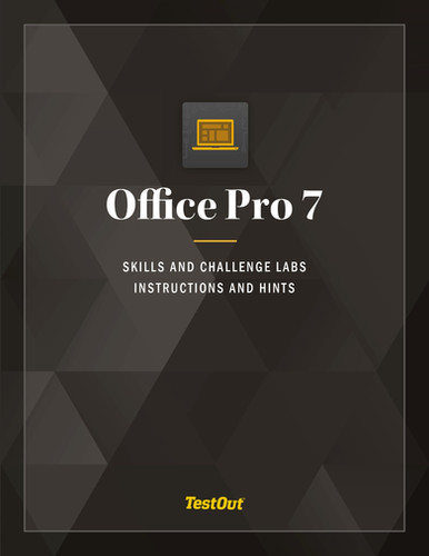 TESTOUT Office Pro 7 | TheCoolClassroom