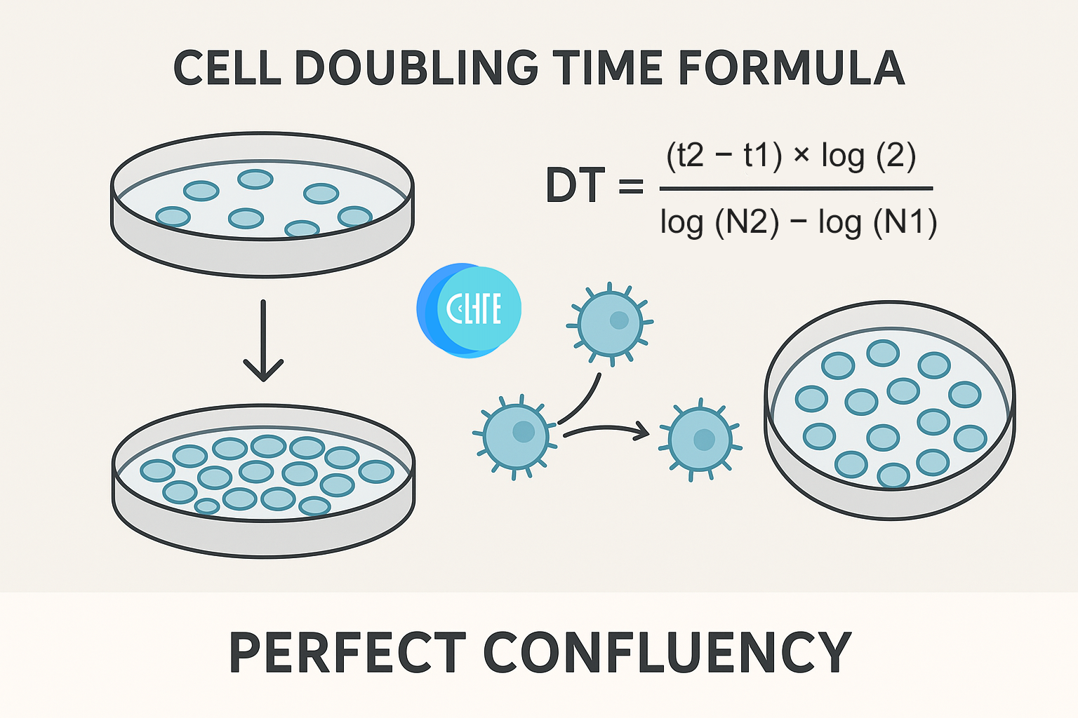 Cell Doubling Time Formula: Your Ultimate Guide to Perfect Confluency