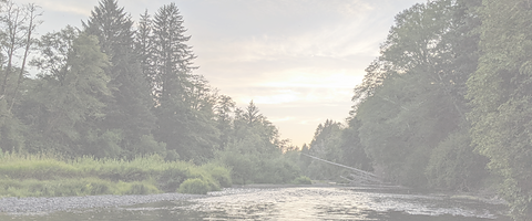 Olalla Center | Non-Profit | Toledo, Oregon