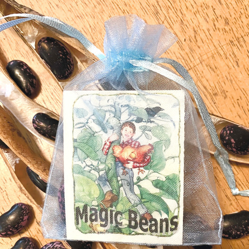 Magic Beans | The Thyme Garden