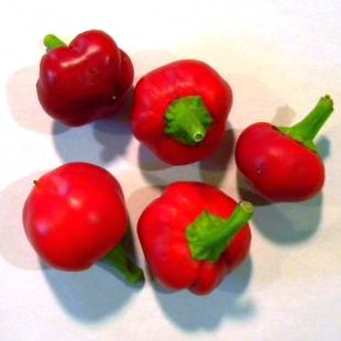 Pepper, Large Red Cherry - Herb Seeds | The Thyme Garden