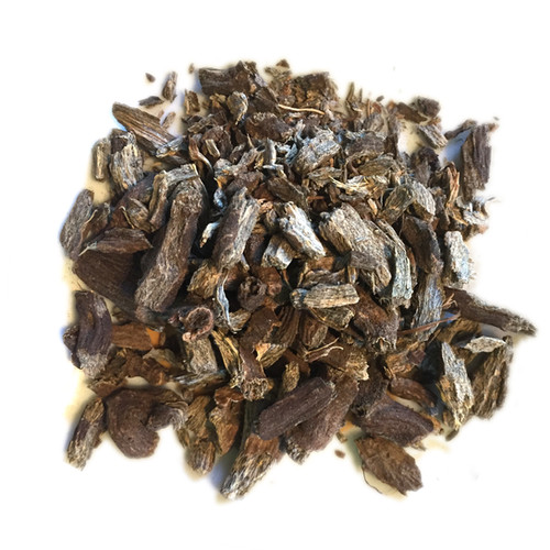 Echinacea Angustifolia Root | The Thyme Garden