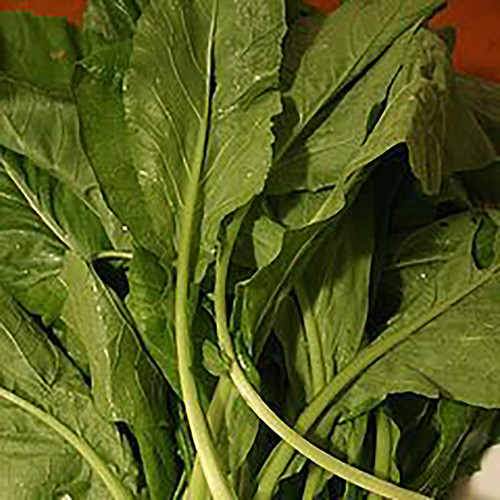 Mustard, Brown - Herb Seeds | The Thyme Garden