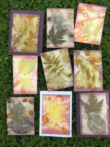 Botanical Eco Printing on Paper with Natural Dyes July 16 2026 | The ...