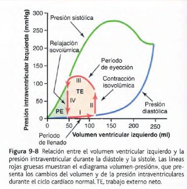 FISIOLOGÍA | cardio