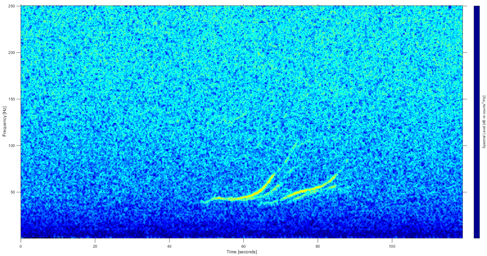 species identification - What is the origin of this underwater low ...