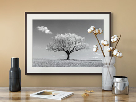 Landscape photography | Annette Dahl Photography