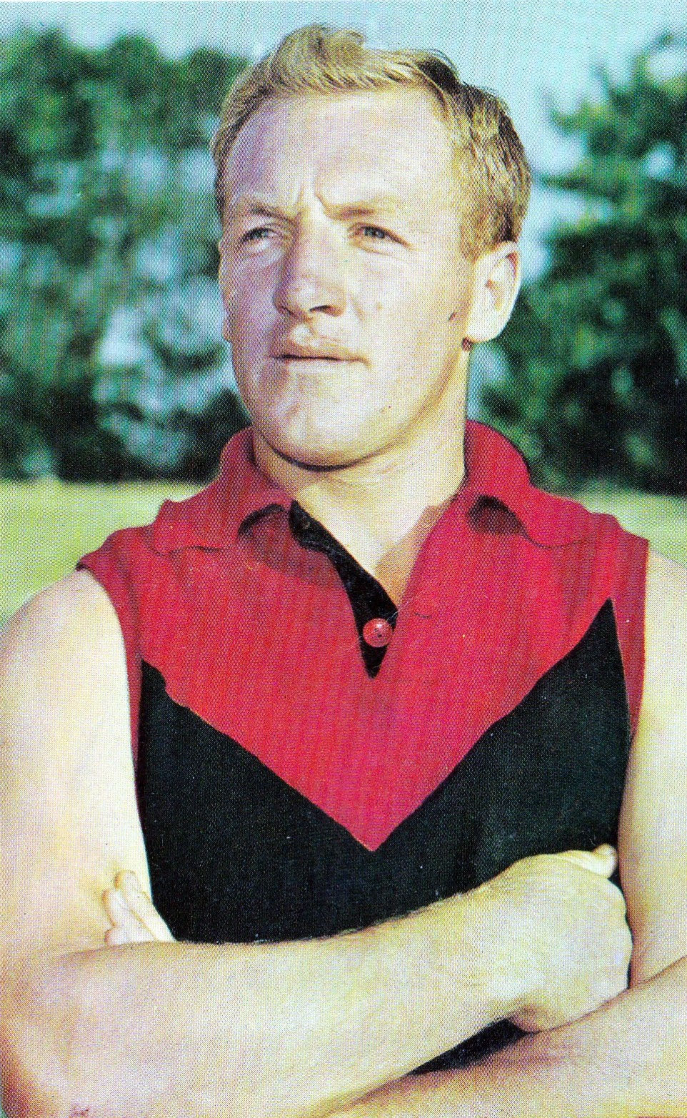 More Cards | SANFL football memor