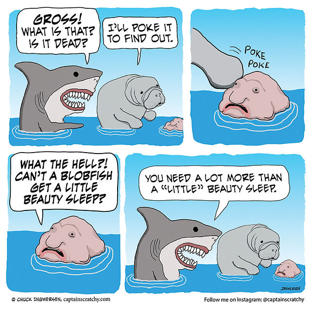 funny shark comics